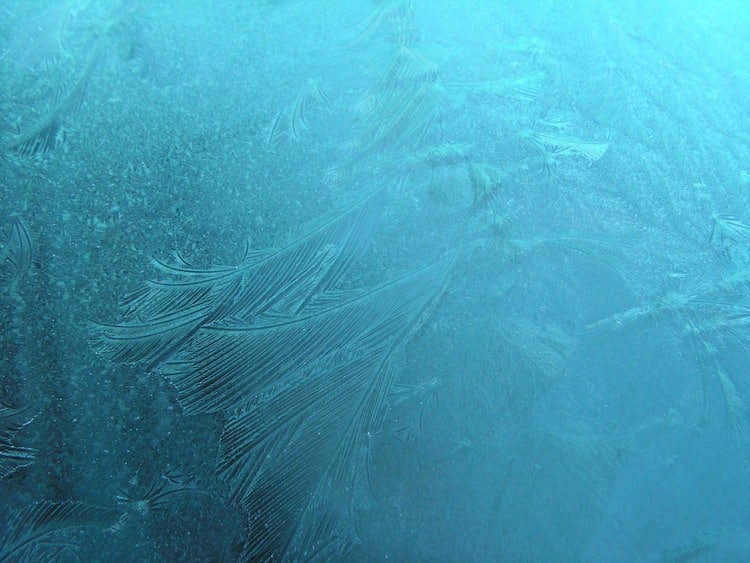 Kryotechnik: Die hochspezialisierte Branche der kryogenen Infrastrukturen